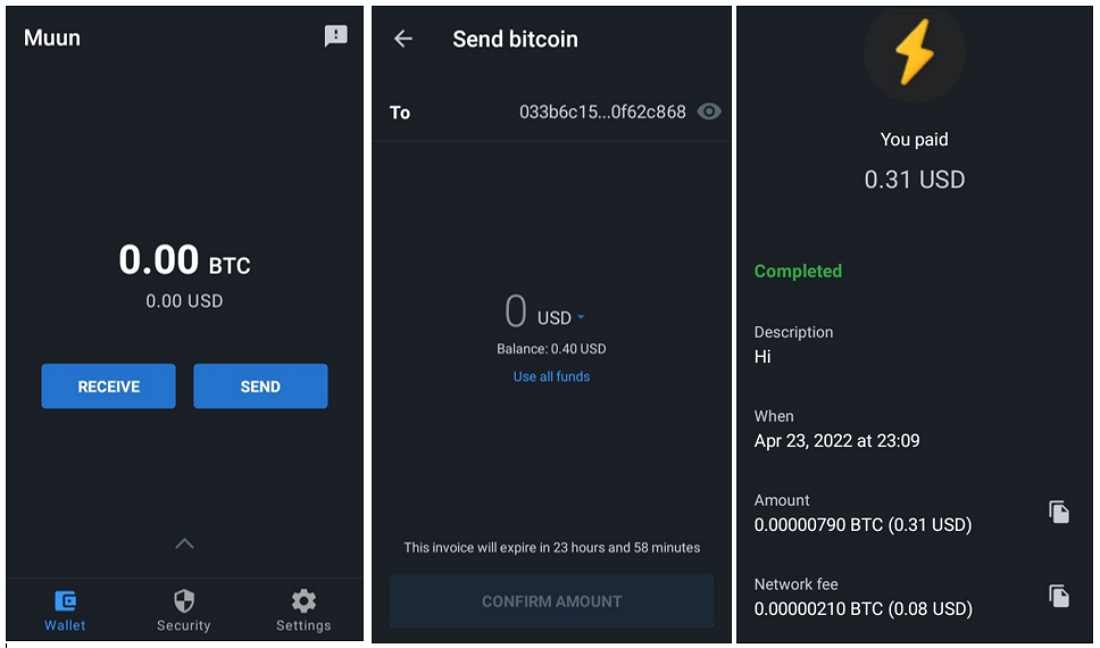 What’s Lightning Network and how to use it for instant payments?